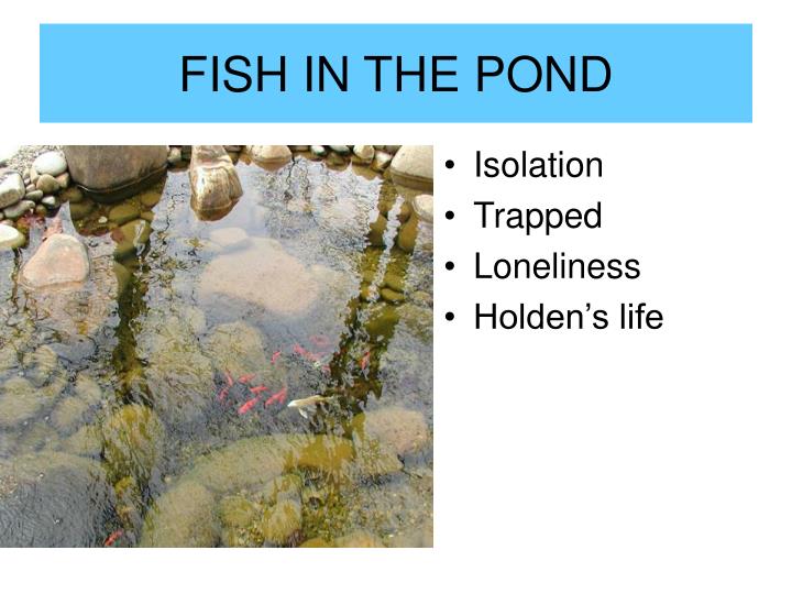 PPT - Symbolism Catcher in the Rye PowerPoint Presentation - ID:1038482