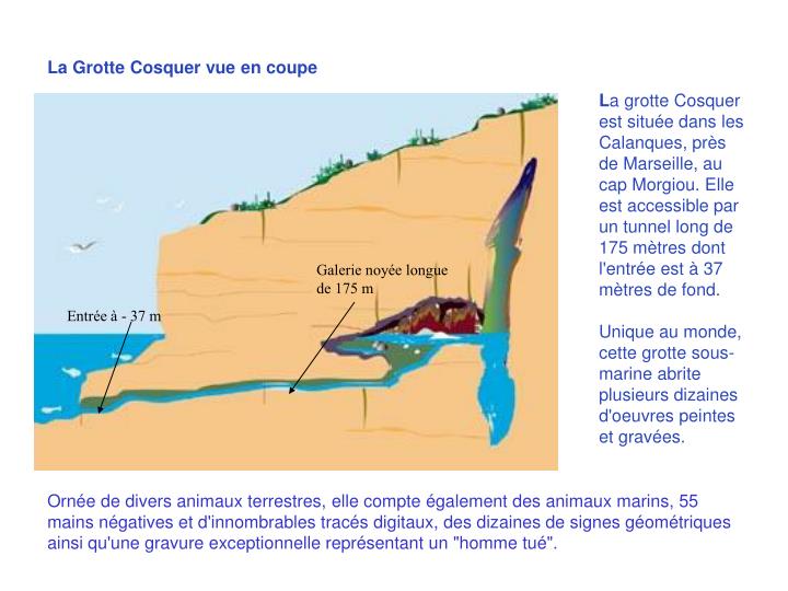 PPT - I. La grotte Cosquer UNE GROTTE UNIQUE AU MONDE PowerPoint ...