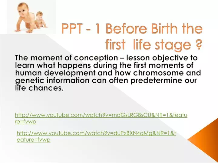 PPT - PPT - 1 Before Birth the first life stage ? PowerPoint ...