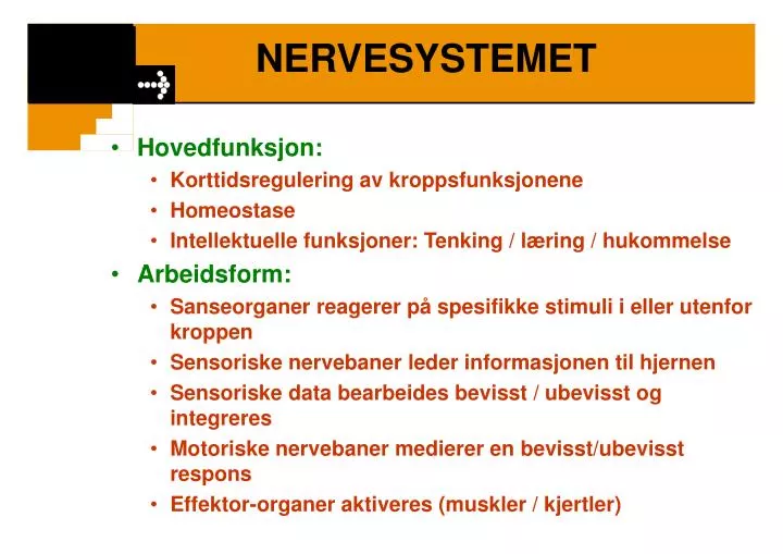 PPT - NERVESYSTEMET PowerPoint Presentation, free download - ID:1042199