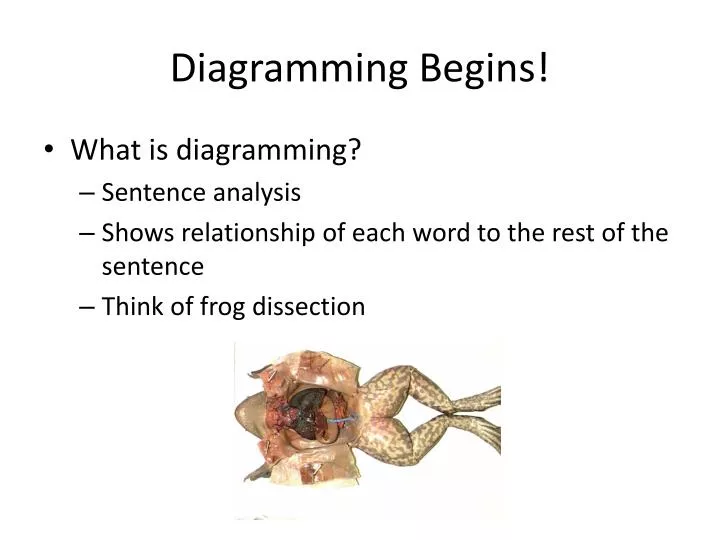 PPT - Diagramming Begins! PowerPoint Presentation, free download - ID ...