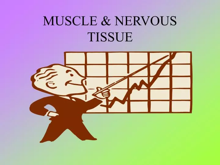 PPT - MUSCLE & NERVOUS TISSUE PowerPoint Presentation, free download ...