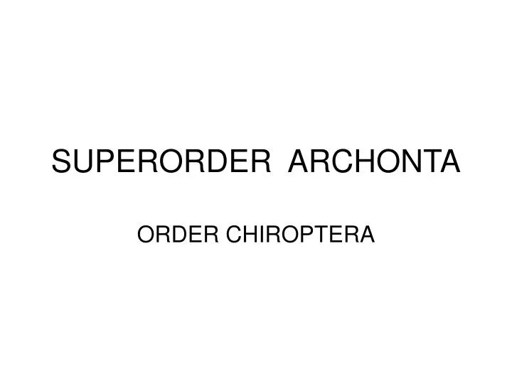 PPT - SUPERORDER ARCHONTA PowerPoint Presentation, free download - ID ...