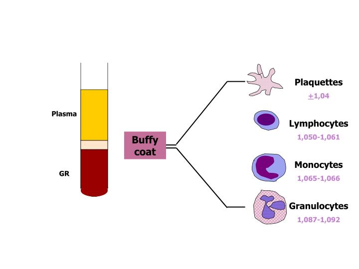 PPT - LES PRODUITS SANGUINS PLAQUETTAIRES PRELEVEMENT, PREPARATION ...