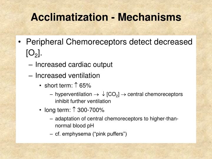 PPT - Acclimatization - High Altitude PowerPoint Presentation - ID:1043673
