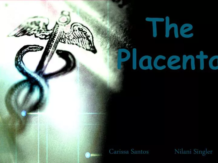 PPT - The Placenta PowerPoint Presentation, free download - ID:1044060