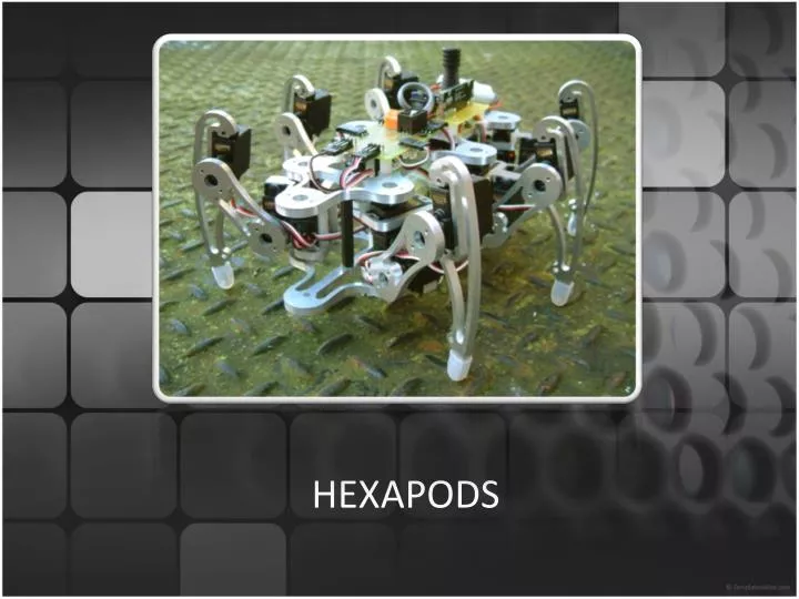 PPT - HEXAPODS PowerPoint Presentation, free download - ID:1045356