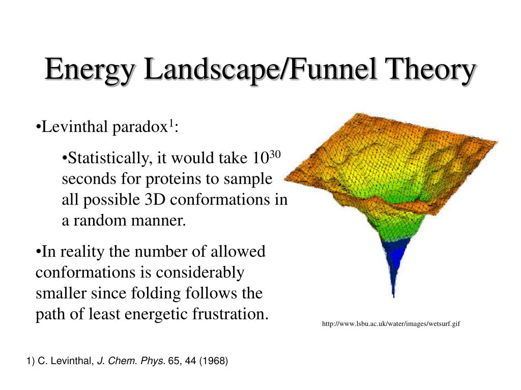 PPT - Protein Folding Dynamics: Water Expulsion and Hydrophobic Core ...