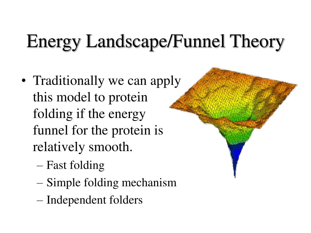 PPT - Protein Folding Dynamics: Water Expulsion and Hydrophobic Core ...