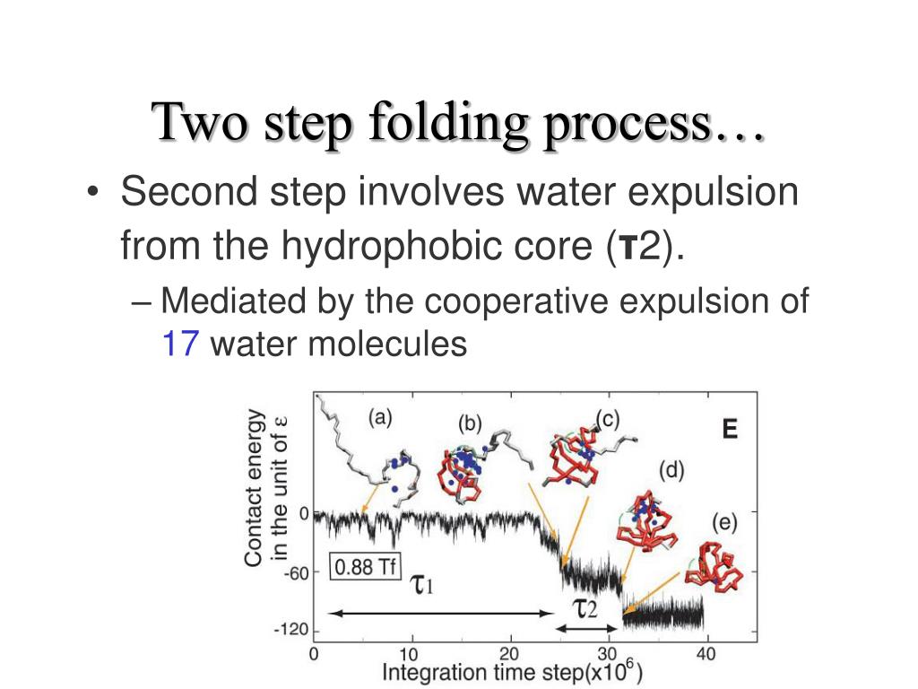 PPT - Protein folding mediated by solvation: Water expulsion and ...