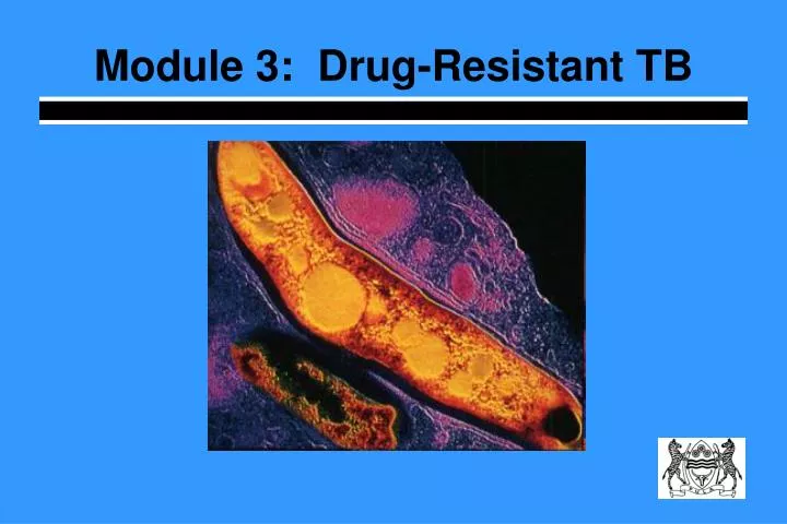 PPT - Module 3: Drug-Resistant TB PowerPoint Presentation, free ...