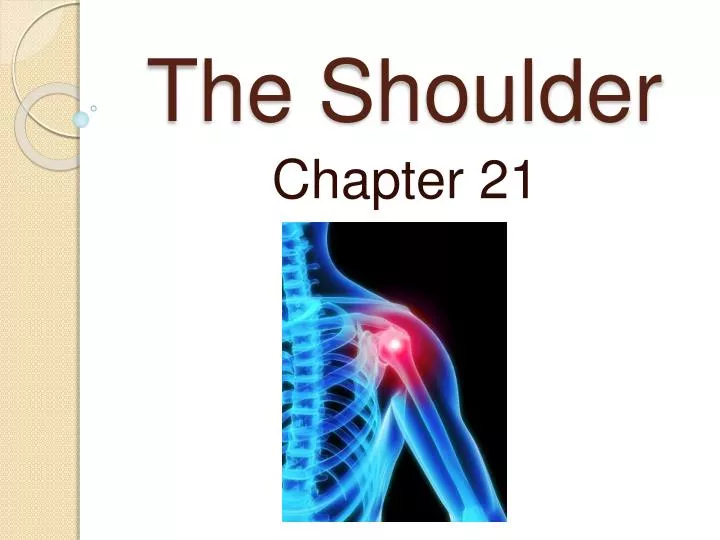 PPT - The Shoulder PowerPoint Presentation, free download - ID:1046421