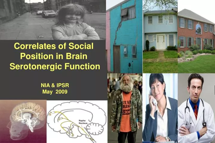 PPT - Correlates of Social Position in Brain Serotonergic Function ...