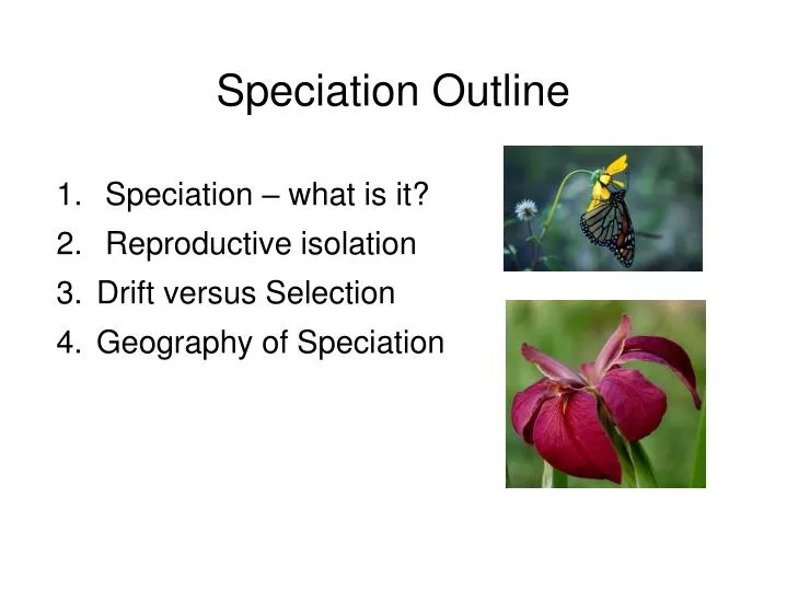PPT - Speciation Outline PowerPoint Presentation, free download - ID ...