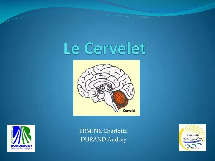 PPT - Le Cervelet PowerPoint Presentation, free download - ID:1049990