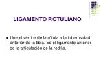 PPT - MIEMBRO INFERIOR PowerPoint Presentation - ID:1050179