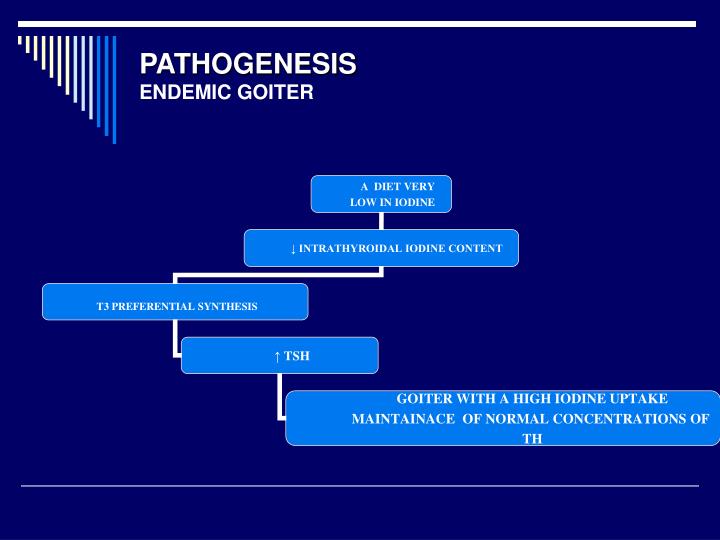 PPT - THE THYROID GLAND PowerPoint Presentation - ID:1050360