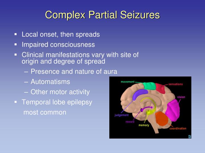 PPT - Pharmacology of Antiepileptic Drugs PowerPoint Presentation - ID ...