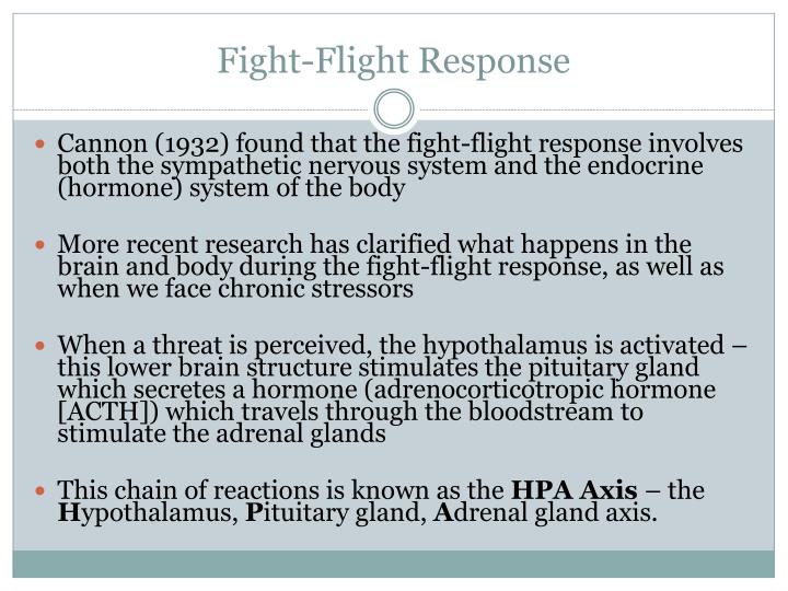 PPT - Chapter 12: Stress and Health PowerPoint Presentation - ID:1051366