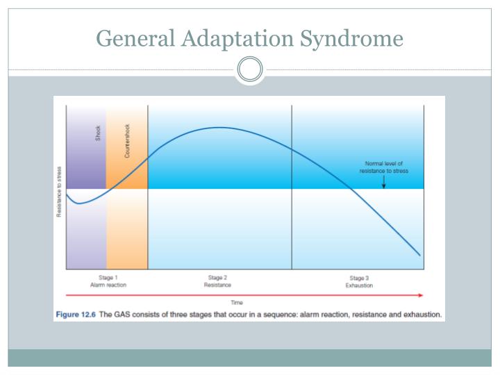 PPT - Chapter 12: Stress and Health PowerPoint Presentation - ID:1051366