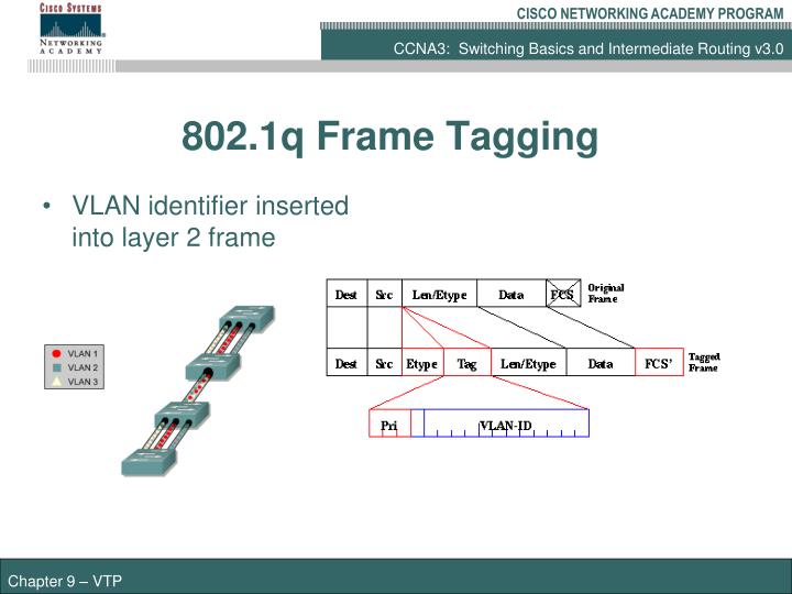 PPT - VLAN Trunking Protocol PowerPoint Presentation - ID:1051656