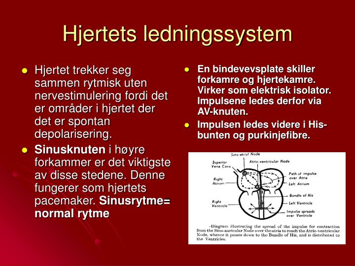 PPT - Sirkulasjons-systemet. Hjerte-, karsykdommer PowerPoint ...