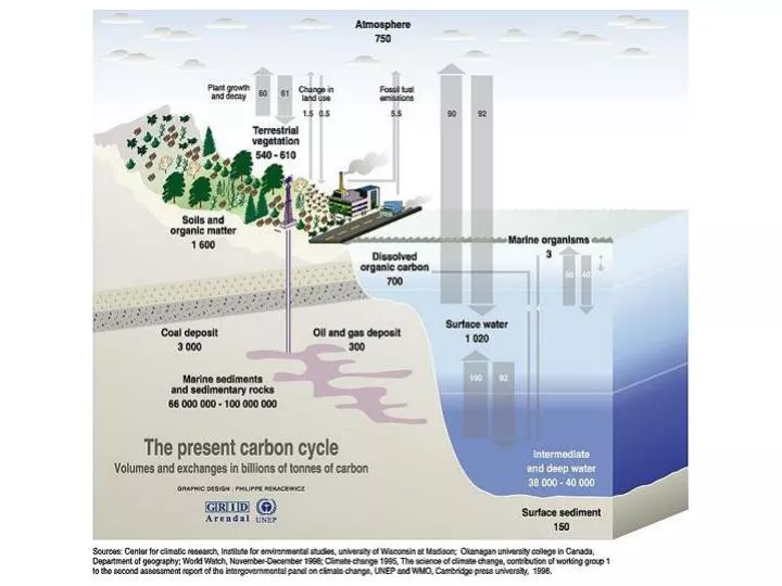 PPT - Oceanic Carbon Cycle PowerPoint Presentation, free download - ID ...