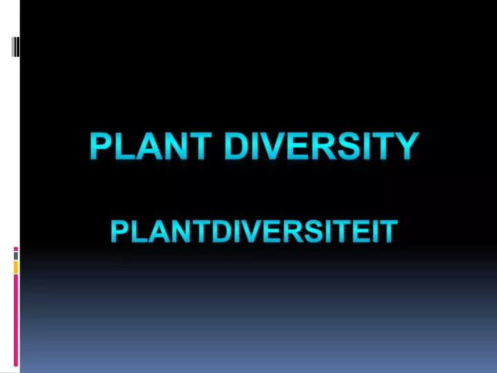 PPT - plant diversity PLANTDIVERSITEIT PowerPoint Presentation, free ...
