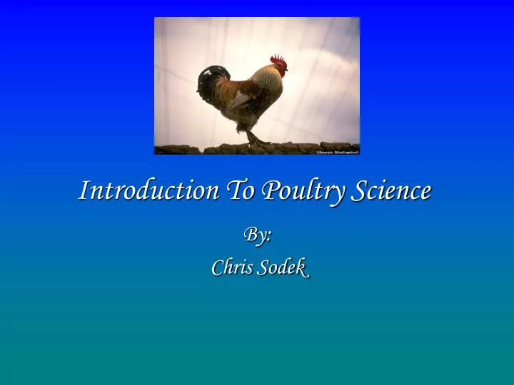 PPT - Introduction To Poultry Science PowerPoint Presentation, free ...