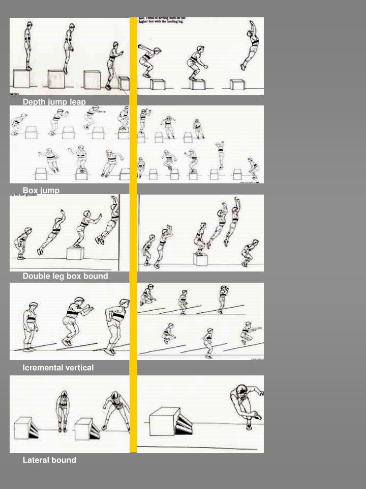 PPT - Alternate leg bound a PowerPoint Presentation - ID:1058681