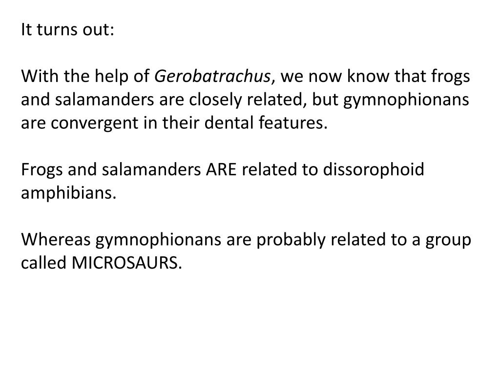 PPT - Stuart S. Sumida Biology 342 Phylogeny of Basal Tetrapoda ...