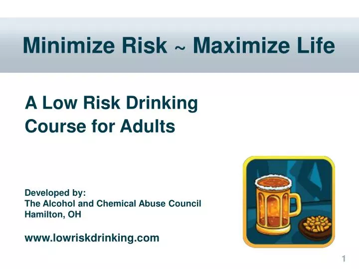 PPT - Minimize Risk ~ Maximize Life PowerPoint Presentation, free ...