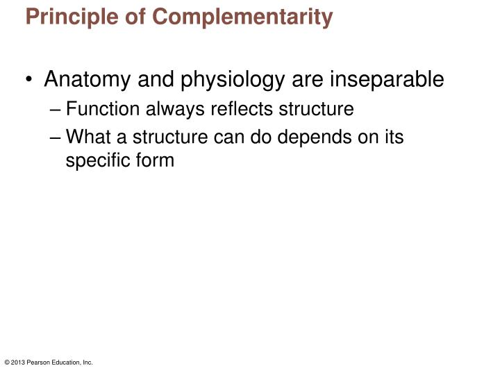 PPT - Overview of Anatomy and Physiology PowerPoint Presentation - ID ...