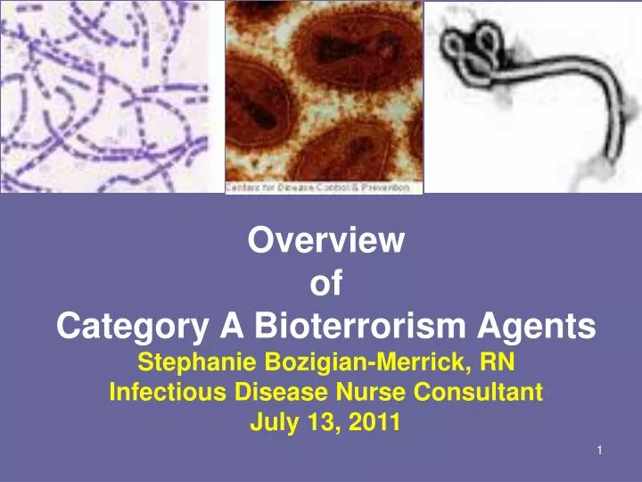 PPT - Overview of Category A Bioterrorism Agents Stephanie Bozigian ...