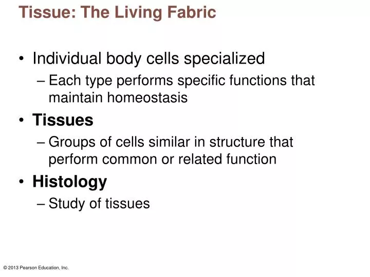 PPT - Tissue: The Living Fabric PowerPoint Presentation, free download ...
