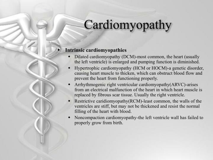 PPT - Heart Disease PowerPoint Presentation - ID:1062118