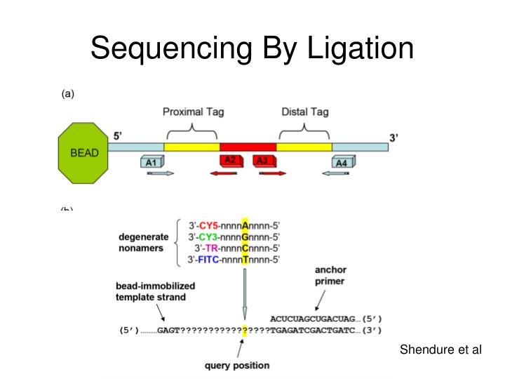 PPT - Next Generation Sequencing Technologies PowerPoint Presentation ...