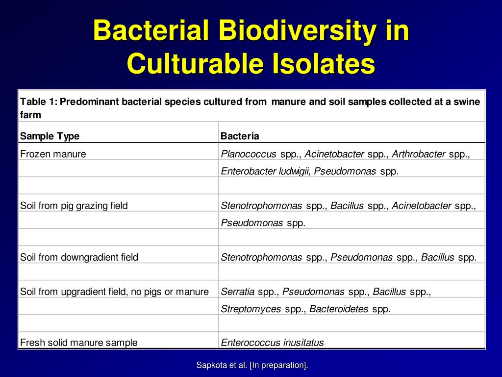 PPT - Animal Feed Components and The Impacts of Land-applying Manure on ...