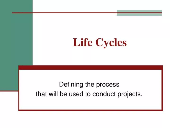 PPT - Life Cycles PowerPoint Presentation, free download - ID:1063992