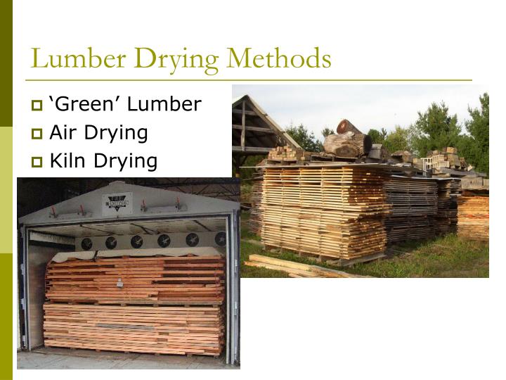 PPT - Introduction to Wood PowerPoint Presentation - ID:1065633