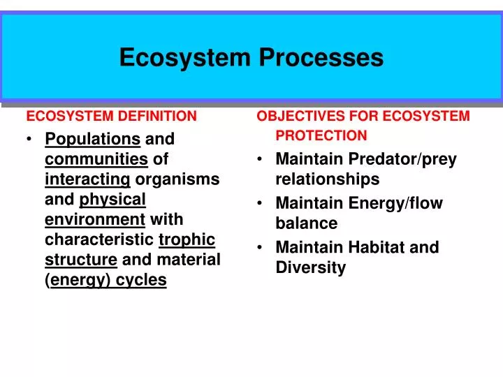 PPT - Ecosystem Processes PowerPoint Presentation, free download - ID ...
