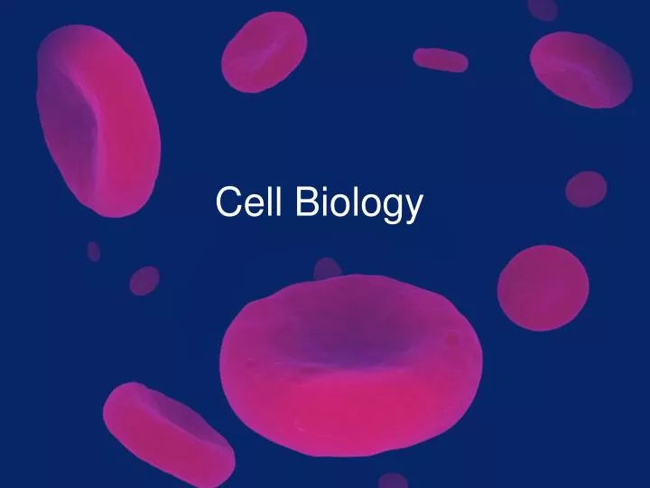 PPT - Cell Biology PowerPoint Presentation, free download - ID:1068993