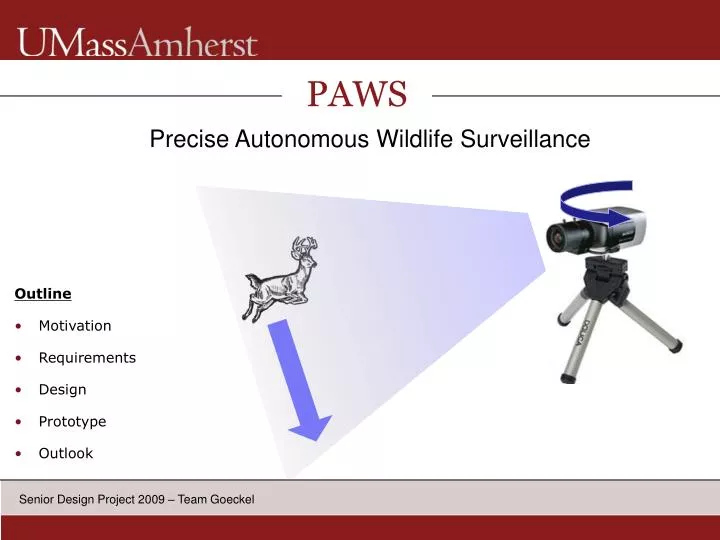 PPT - PAWS PowerPoint Presentation, free download - ID:1069051