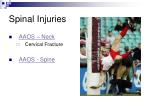 PPT - Spinal Injuries PowerPoint Presentation - ID:106916