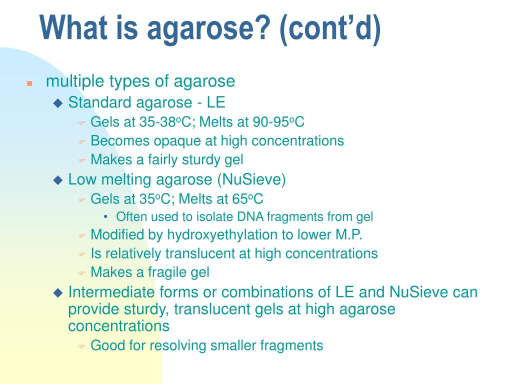 PPT - Agarose Gel Electrophoresis PowerPoint Presentation, free ...