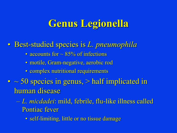 PPT - Legionella sp. PowerPoint Presentation - ID:1071492