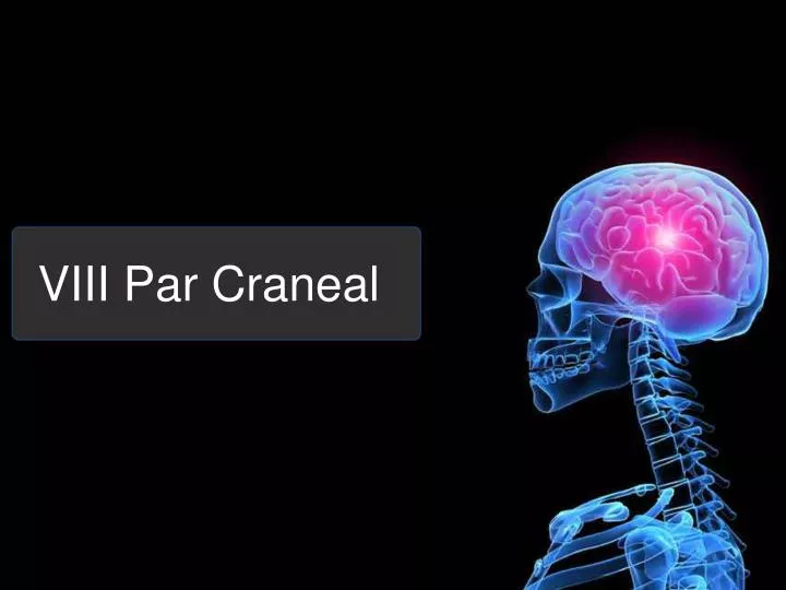 PPT - VIII Par Craneal PowerPoint Presentation, free download - ID:1071499