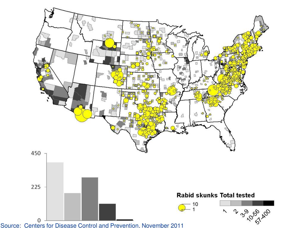 PPT - Rabies Surveillance in the United States During 2010 PowerPoint ...