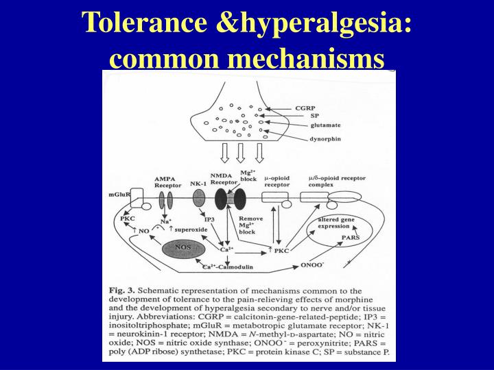 PPT - Opioid Induced Hyperalgesia PowerPoint Presentation - ID:1072938