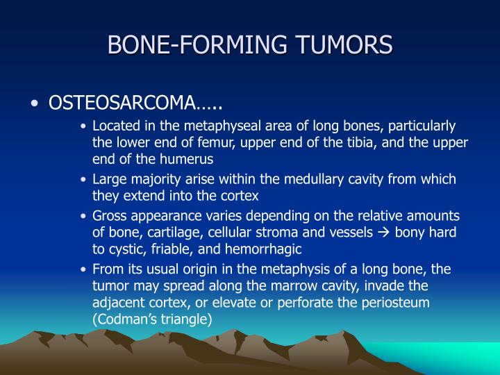 PPT - BONES AND MUSCLES PowerPoint Presentation - ID:1074073